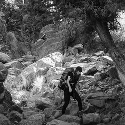 Lisa Dupuy’s Profile | NRC Handelsblad Journalist | Muck Rack