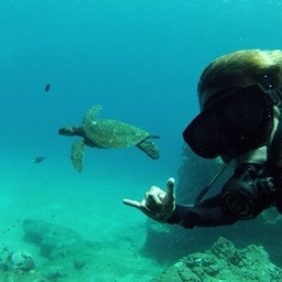 Terence Loose’s Profile | Freelance Journalist | Muck Rack