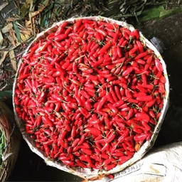 David Whitty’s Profile | BBC World Service Journalist | Muck Rack