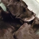 Paul Starobin’s Profile | The Atlantic Journalist | Muck Rack