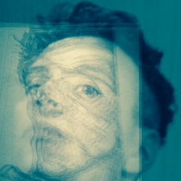 Adam Steiner’s Journalist Portfolio | Muck Rack