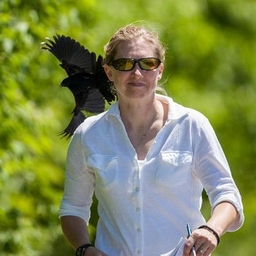 Rebecca Green’s Profile | The New York Times, HuffPost, MSN (US ...