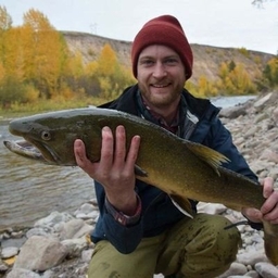 Tom Holm’s Profile | U.S. News and World Report, Miami Herald, Screen ...