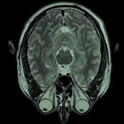 Jon Austin’s Profile | Essex News & Investigations Journalist | Muck Rack