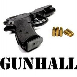Gun Hall’s Profile | Muck Rack