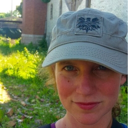 Alisa Hauser’s Profile | Medium, Chicago Sun-Times, Eater Chicago ...