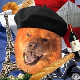 Shea Corrigan’s Profile | FanSided Journalist | Muck Rack