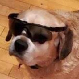 Seamus Coughlin’s Profile | Words & Numbers Journalist | Muck Rack