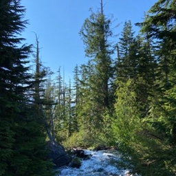 Jacob Rummel’s Profile | KIRO-FM (Seattle, WA) Journalist | Muck Rack