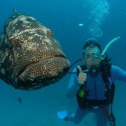 Kent German’s Profile | SFGate Journalist | Muck Rack