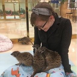 Emily Rand’s Profile | Medium, ABC News, CBS Moneywatch Journalist ...