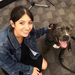 Hallie Miller’s Profile | The Baltimore Banner Journalist | Muck Rack