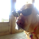 Finn Cohen’s Profile | The Sun Magazine Journalist | Muck Rack