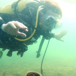 Conor Neeson’s Profile | BBC Journalist | Muck Rack