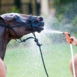 Sharon Robb’s Profile | Freelance Journalist | Muck Rack