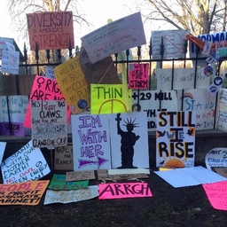 Megan Wolf’s Profile | The Times of Israel, Good Housekeeping, Jewish ...