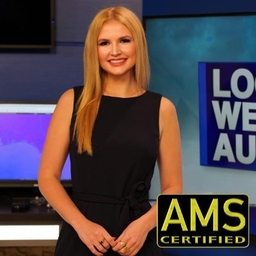 Nikki Sheaks’s Profile | WINK-TV / WXCW (Fort Myers, FL) Journalist ...