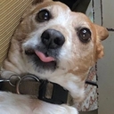 Jordan Fenster’s Profile | USA Today, Hearst Connecticut Media Group ...