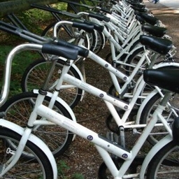 Damian Zane’s Profile | BBC Journalist | Muck Rack