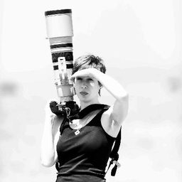 Susan Portnoy’s Profile | Freelance Journalist | Muck Rack