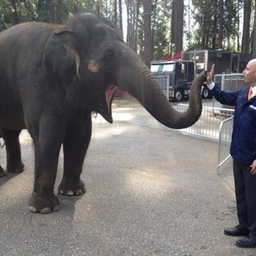 Eric Rucker’s Profile | KSEE-TV (Fresno, CA) Journalist | Muck Rack