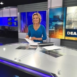 Amy Hawley’s Profile | WXYZ-TV (Southfield, MI), KNXV-TV (Phoenix, AZ ...