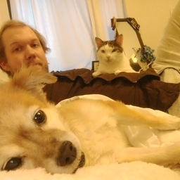 Michael Natale’s Profile | Hearst Journalist | Muck Rack