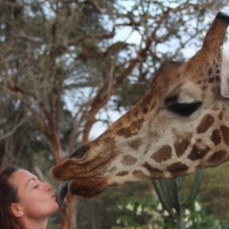 Lisa Grainger’s Profile | The Times, Country & Town House Journalist ...