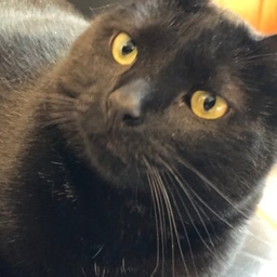 Marion Rae’s Profile | The Energy.co Journalist | Muck Rack