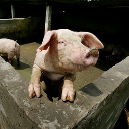 Ted Mann’s Profile | Bloomberg News Journalist | Muck Rack