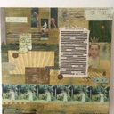 Bruce Newman’s Profile | The New York Times, Bloomberg News, National ...