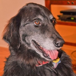 Stu Skerker’s Profile | The Sun Chronicle Journalist | Muck Rack