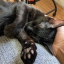 Danielle Banks’s Profile | Blavity, Injustice Watch, Call & Post ...