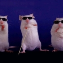 Dominick Petrillo’s Profile | Freelance Journalist | Muck Rack