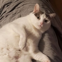 Jason Stutman’s Profile | Energy & Capital, MoneyShow, Wealth Daily ...