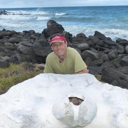 Gregory A. Lewbart’s Profile | Color Research & Application, Wiley ...