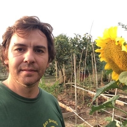 Danilo Masoni’s Profile | Reuters Journalist | Muck Rack