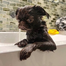 Sam Briger’s Profile | Fresh Air (Podcast) Journalist | Muck Rack