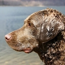 Jason Anders’s Profile | The Washington Post Journalist | Muck Rack