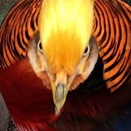 Tom Stocks’s Profile | Organized Crime and Corruption Reporting Project ...